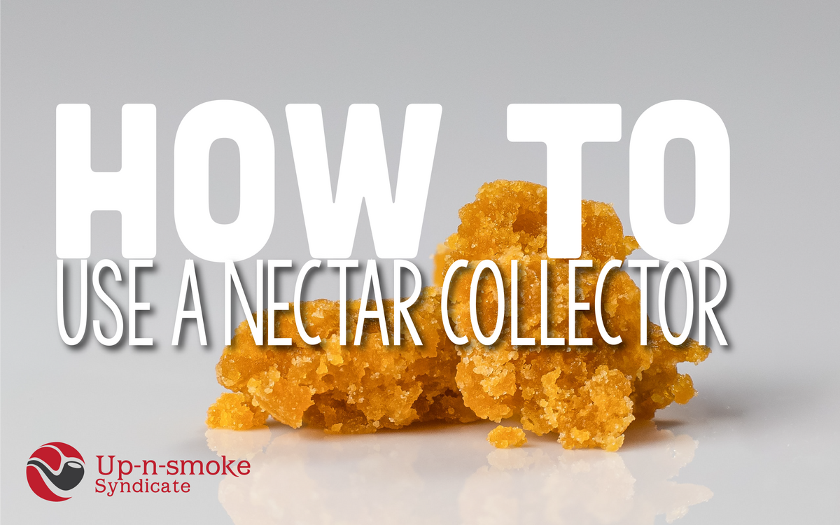 How do I use a nectar collector? | Up-N-Smoke | Online Smoke Shop